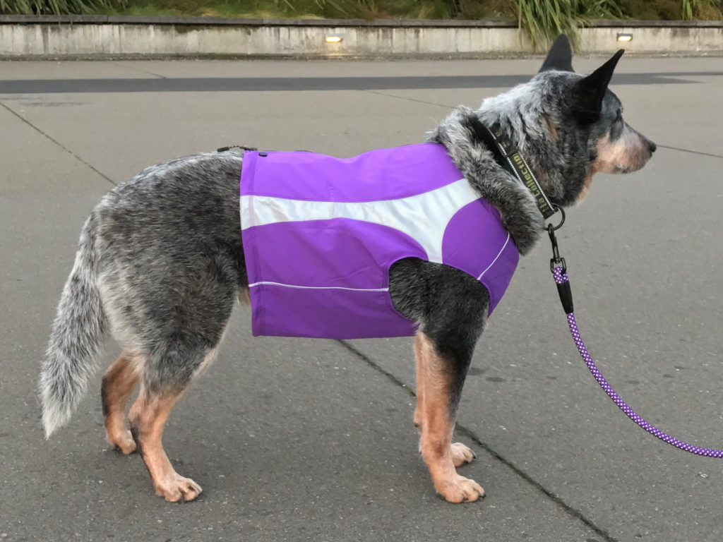 Hurtta Polar Vest high visibility - from Dogs Outside in New Zealand